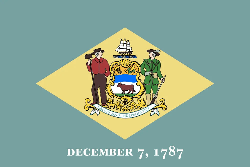 🌟 Flag of Delaware – Available in Multiple Sizes 🌟 - Toronto Screen ...